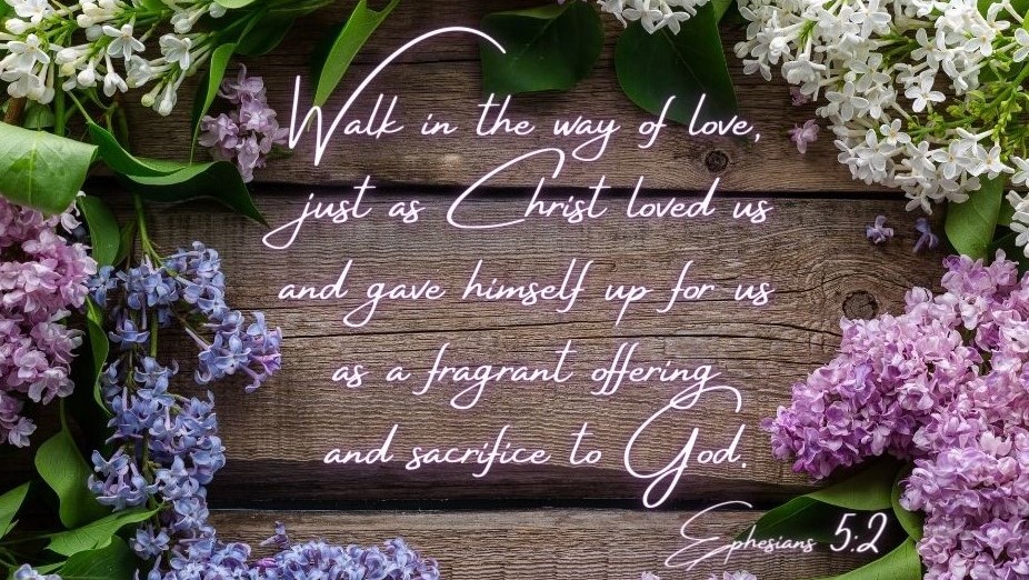 God’s Sense of Smell – BARBARA HIGBY